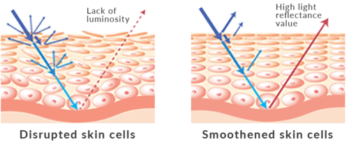 Precious Bright Lotion - Covermark Singapore